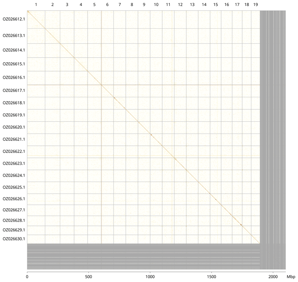 The chromosomal genome sequence of the... | Wellcome Open Research