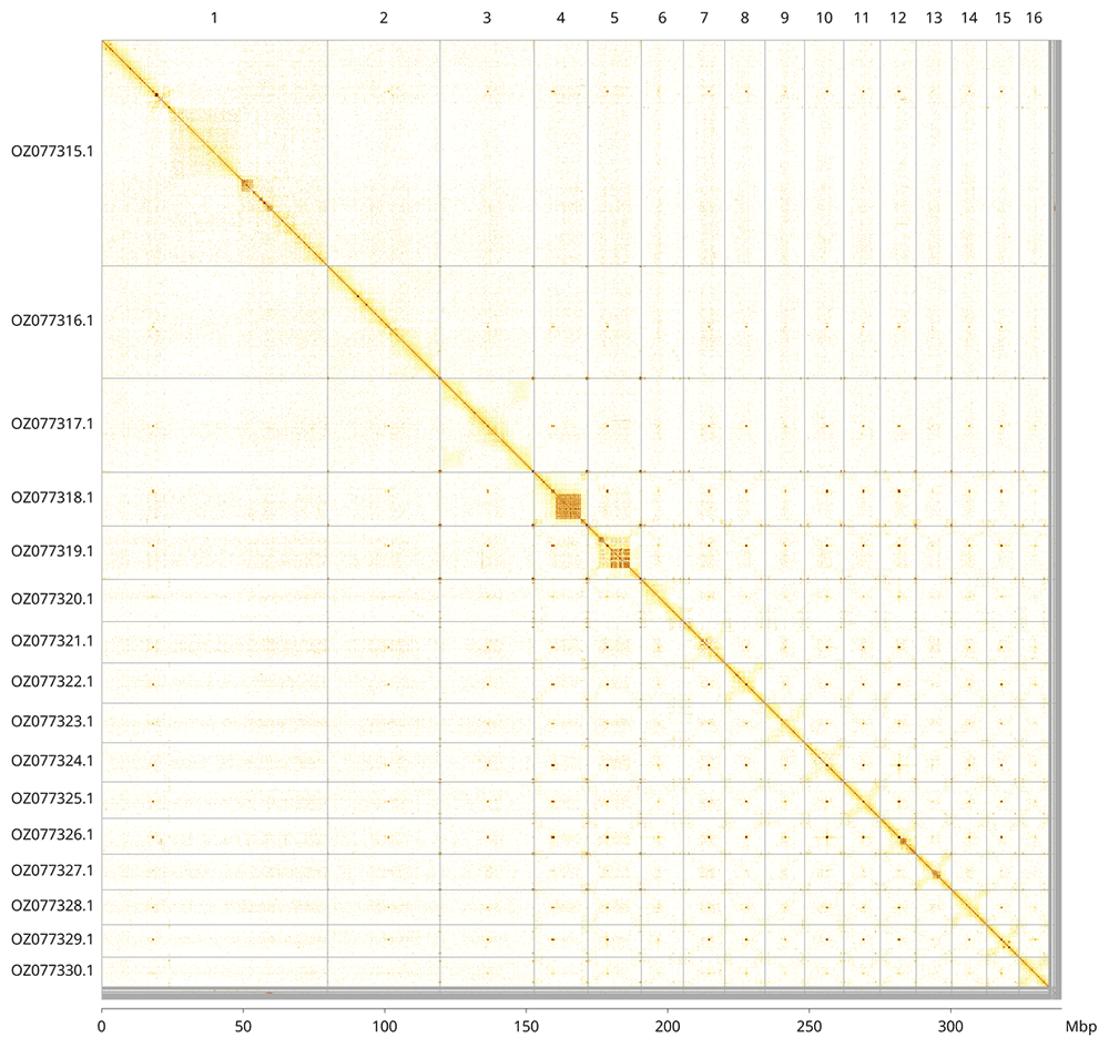 The chromosomal genome sequence of the... | Wellcome Open Research