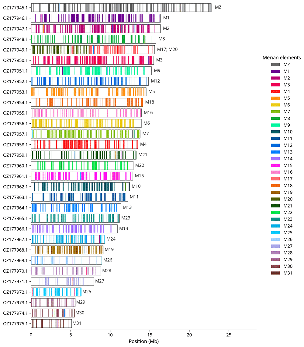 The genome sequence of the Purple... | Wellcome Open Research