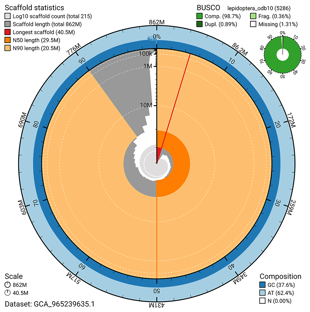 The genome sequence of Zethes insularis... | Wellcome Open Research