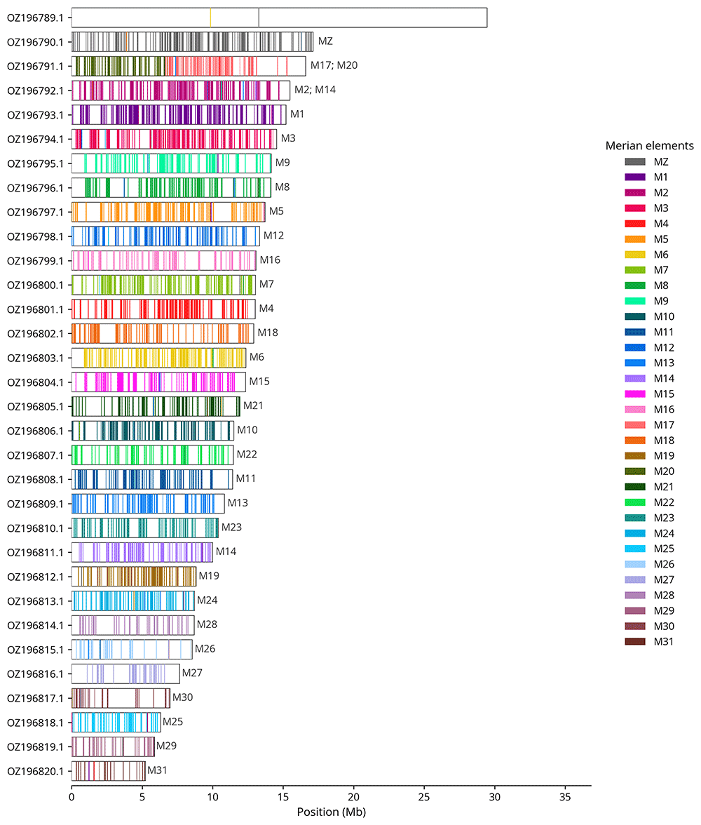 The genome sequence of the Iberian Red... | Wellcome Open Research