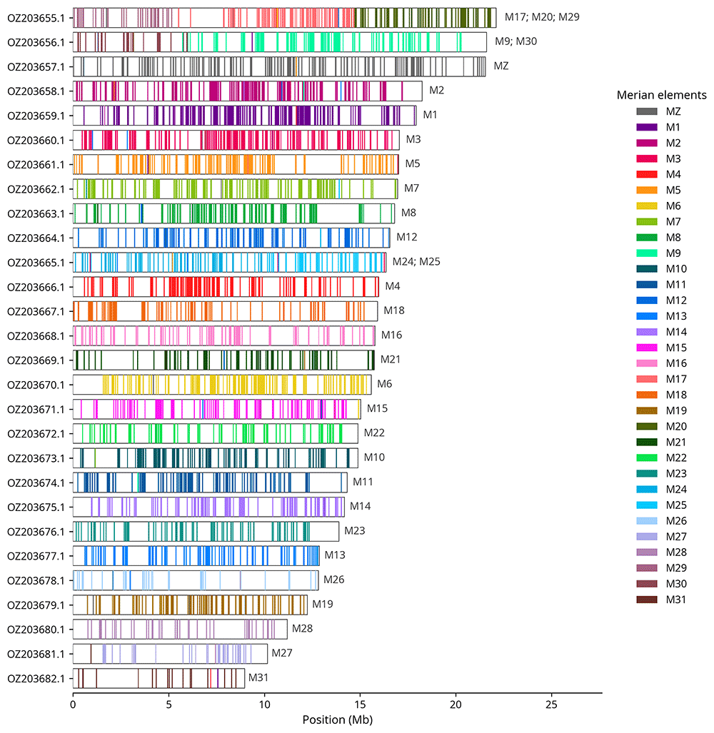 The genome sequence of the Convolvulus... | Wellcome Open Research