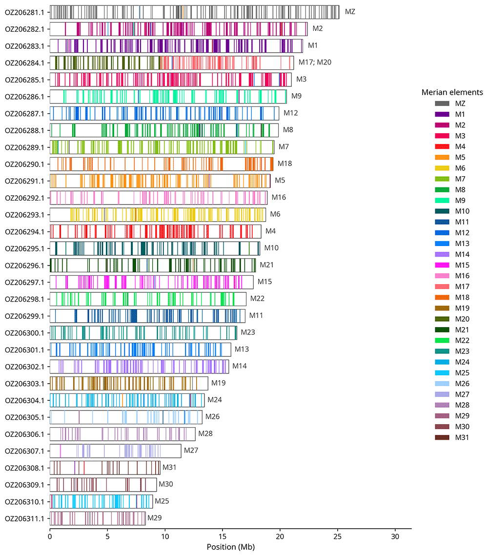 The genome sequence of the Beautiful... | Wellcome Open Research