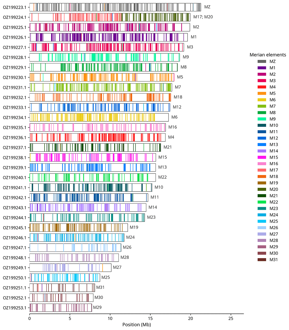 The genome sequence of the Grass Wave,... | Wellcome Open Research