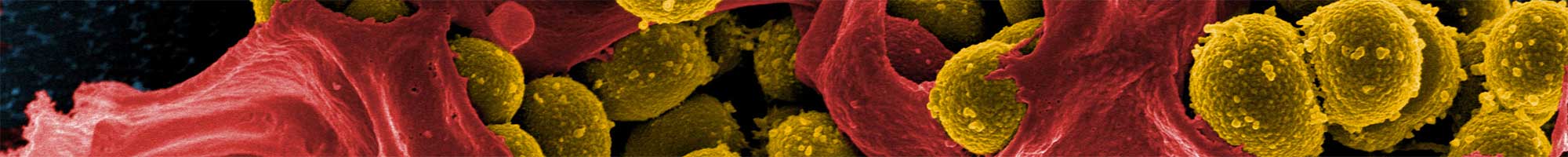 About Wellcome Trust/DBT India Alliance | Gateways | Wellcome Open Research